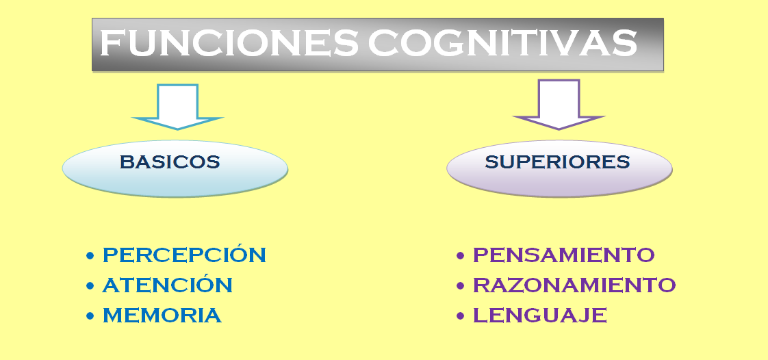 FUNCIONES COGNITIVAS DEL SER HUMANO: ESQUEMA FUNCIONES COGNITIVAS