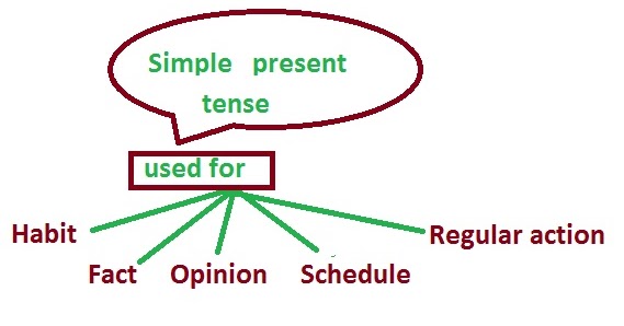 Present Simple Tense