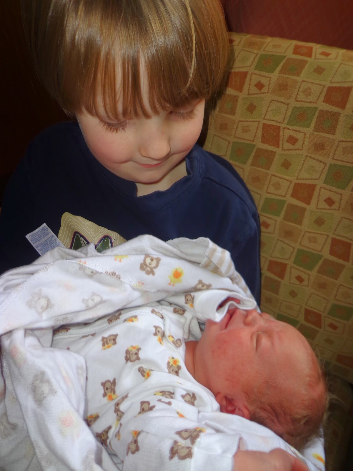 Living a Free Range Life