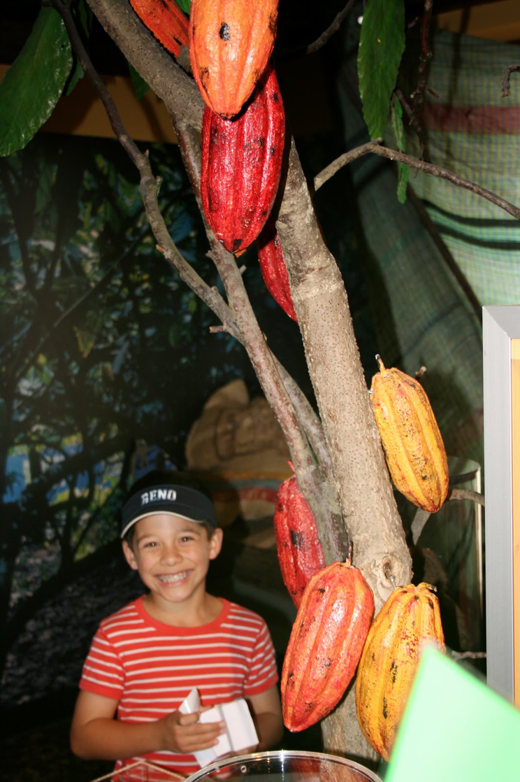 Finding BonggaMom: Choco Story Museum in Bruges, Belgium