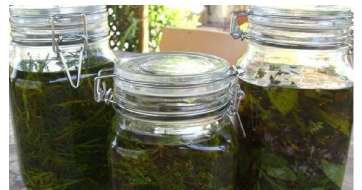 Survival Of Puerto Rico: Alcoholado de hierbas para reumas y artritis