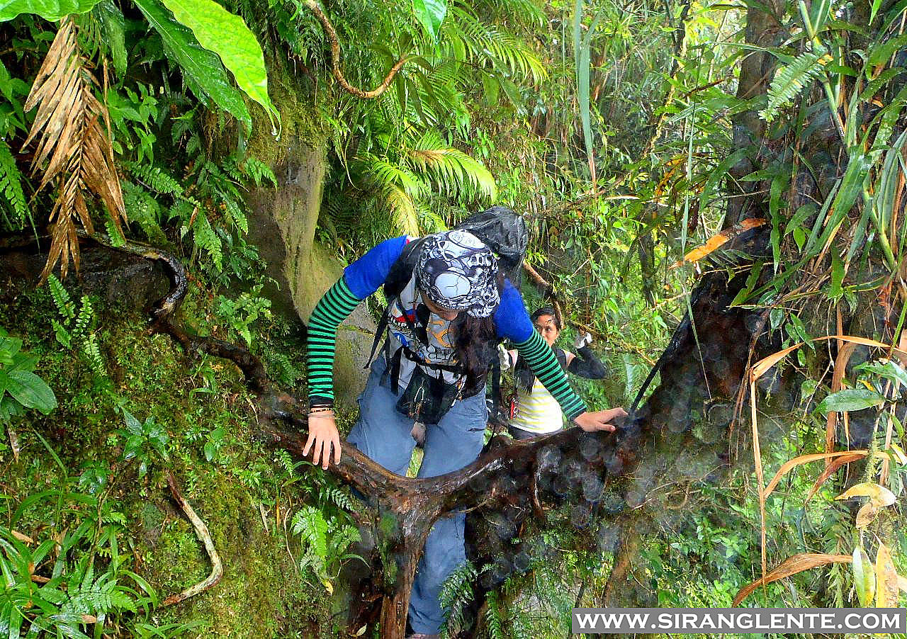 SIRANG LENTE | TRAVEL & HIKE: MT. CRISTOBAL: 2021 HIKING GUIDE | QUEZON ...