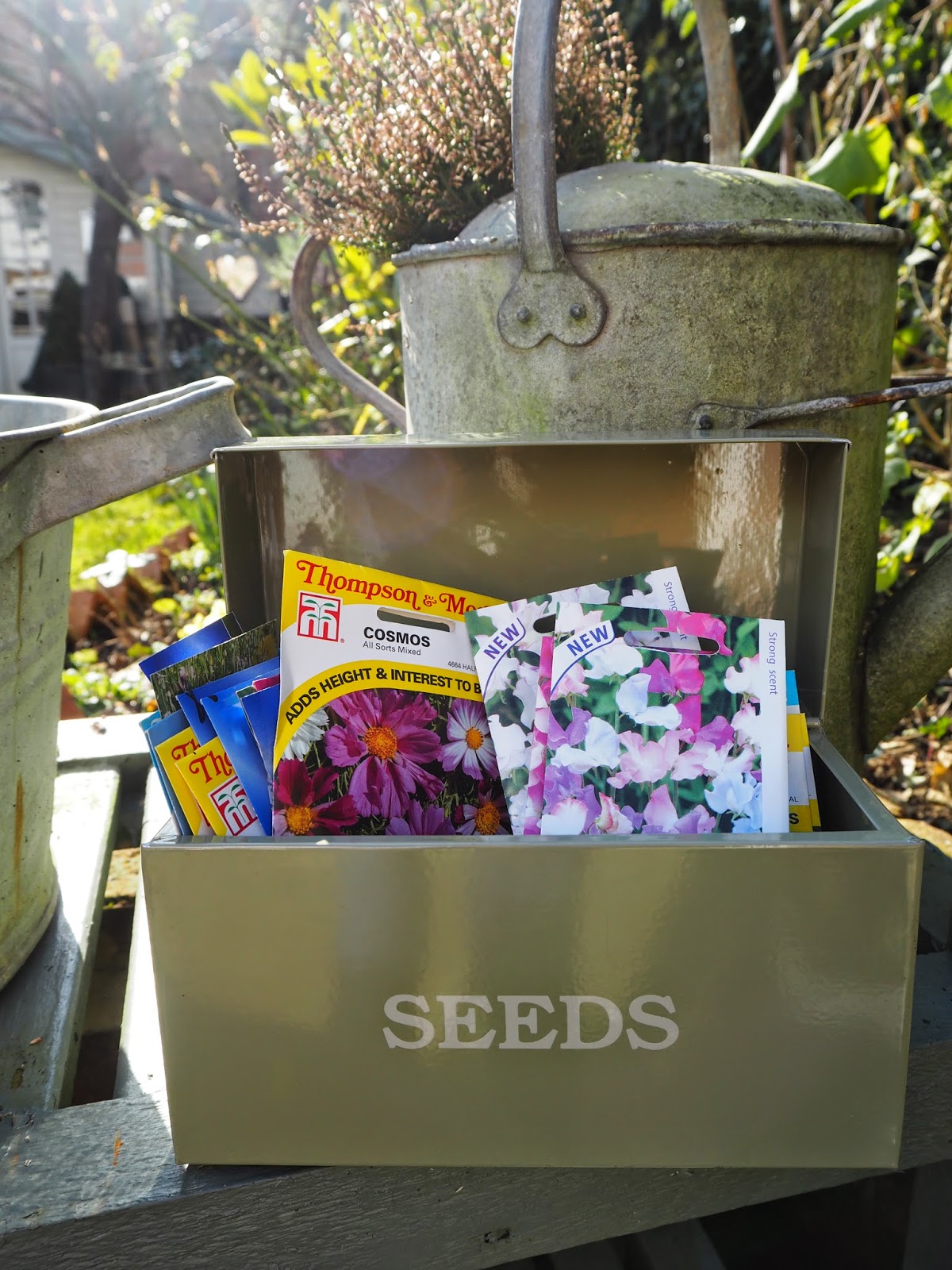 Spring Seed Planting - How to Have A Cutting Garden - Roses and Rolltops