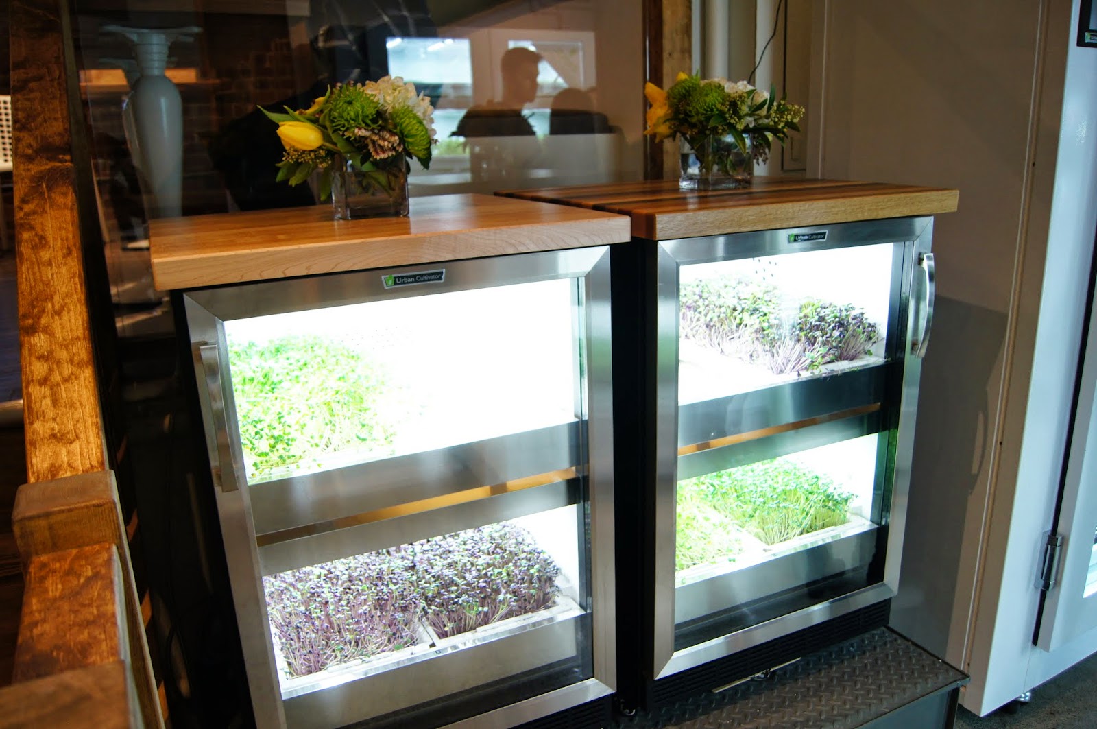 Mashed Thoughts: LPA - Serving Up Fresh Microgreens, Havested When Ordered