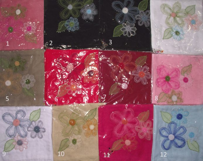 Habbatussauda: Februari 2011