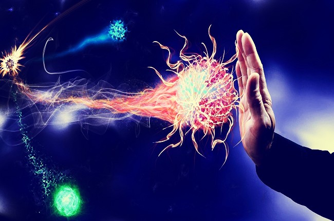 Types of Immunity and Components of Immune System - How Immune System Works