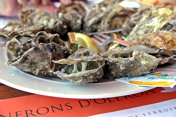 Briuselio kopūstai / Brussels sprouts: Prancūzija 2012: Olerono austrės ...