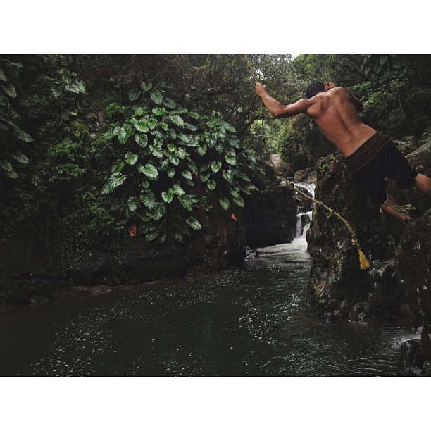 Coyote Negro: Insta Love