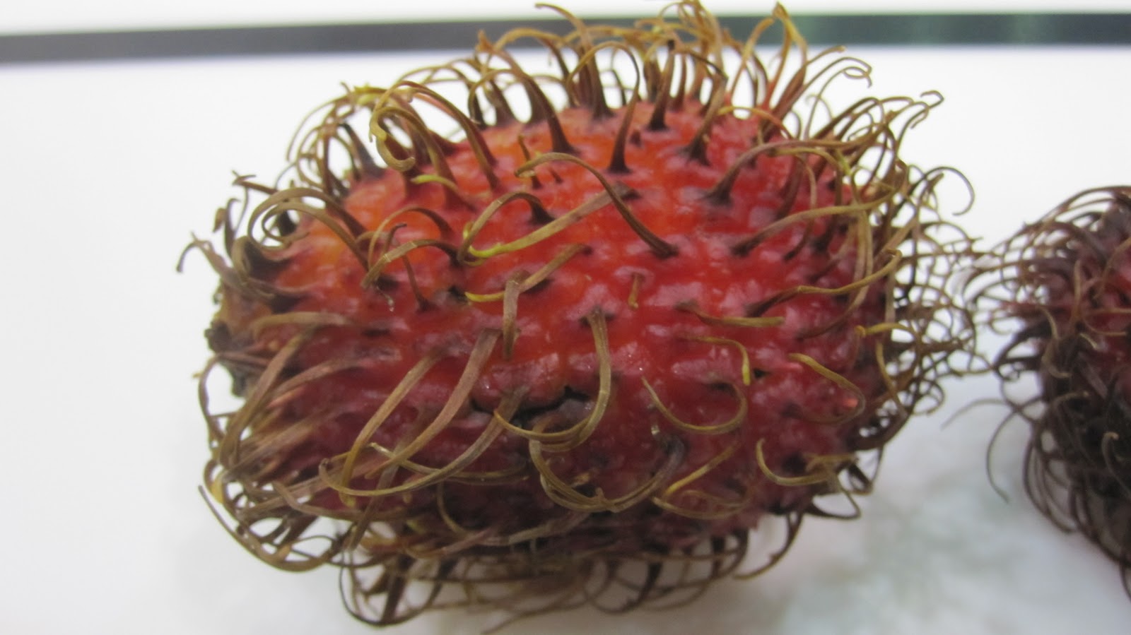 Cannundrums: Rambutan