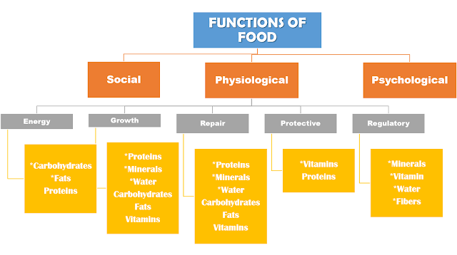 Nutrition Notes for IHM First Semester students: Unit 1 - Basic ...