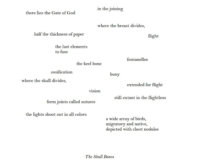 DUSIE: Tuesday poem #28 : Jessica Smith : The Skull Bones