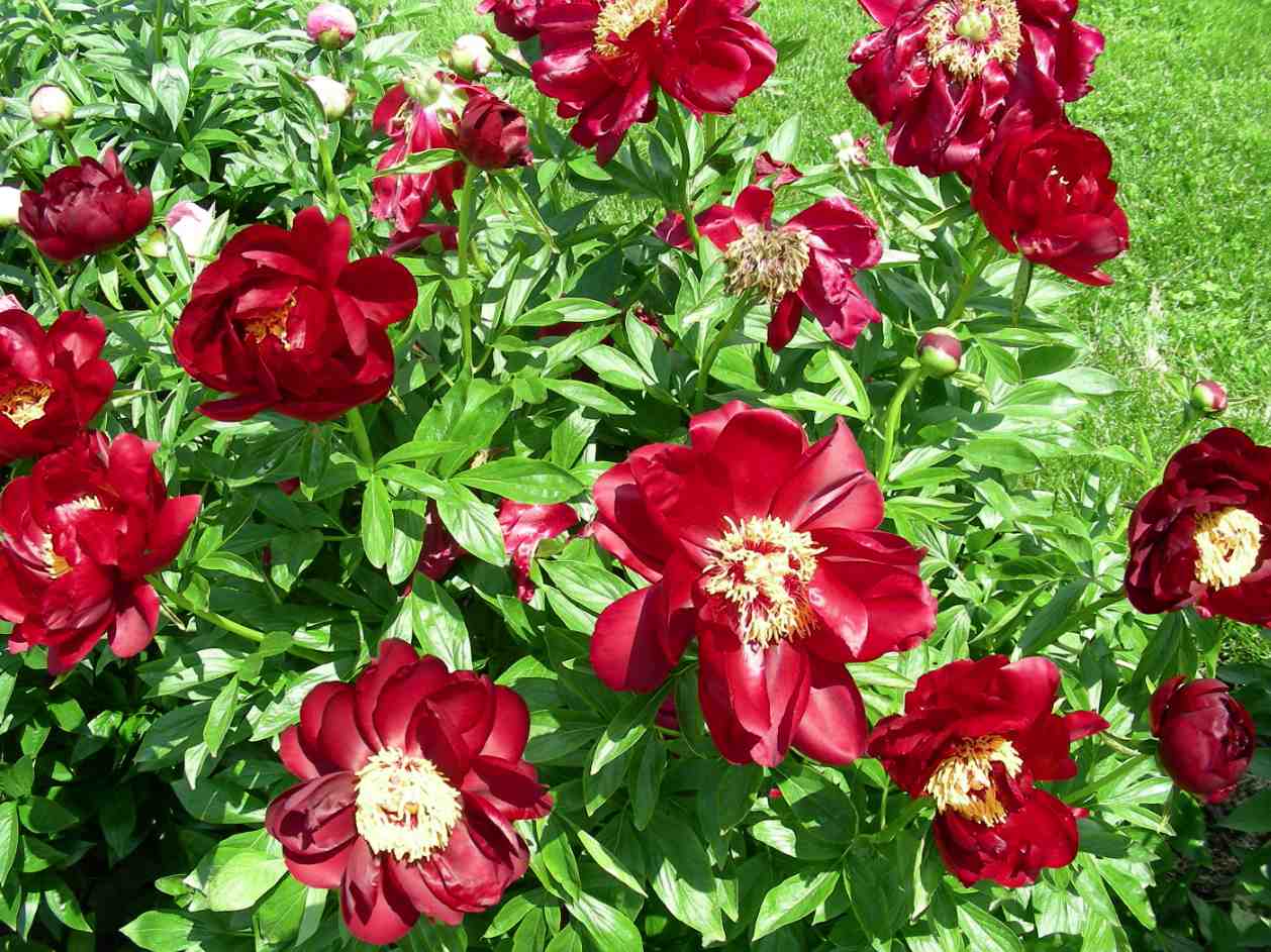 clocktowertenants.com: 7/10/11 - 7/17/11