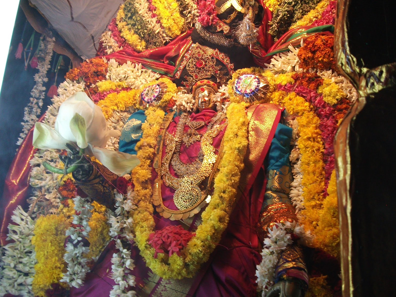 SAMVEDI TEMPLE SOJOURN: ANGALMMMAN THUNAI (OM JAYA MATA TI) EXCLUSIVE