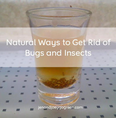 Doug Semple: how to get rid of toxic belly bugs