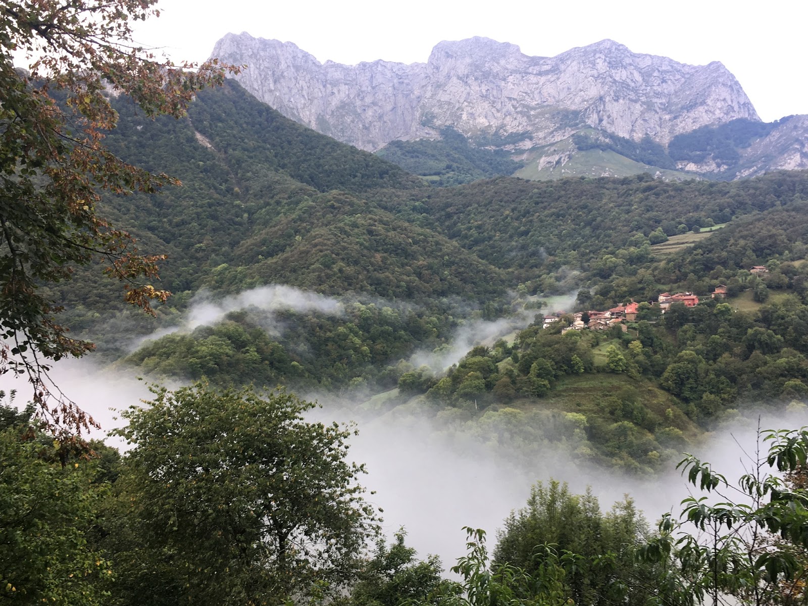Piedra: Parque natural de Ponga ll