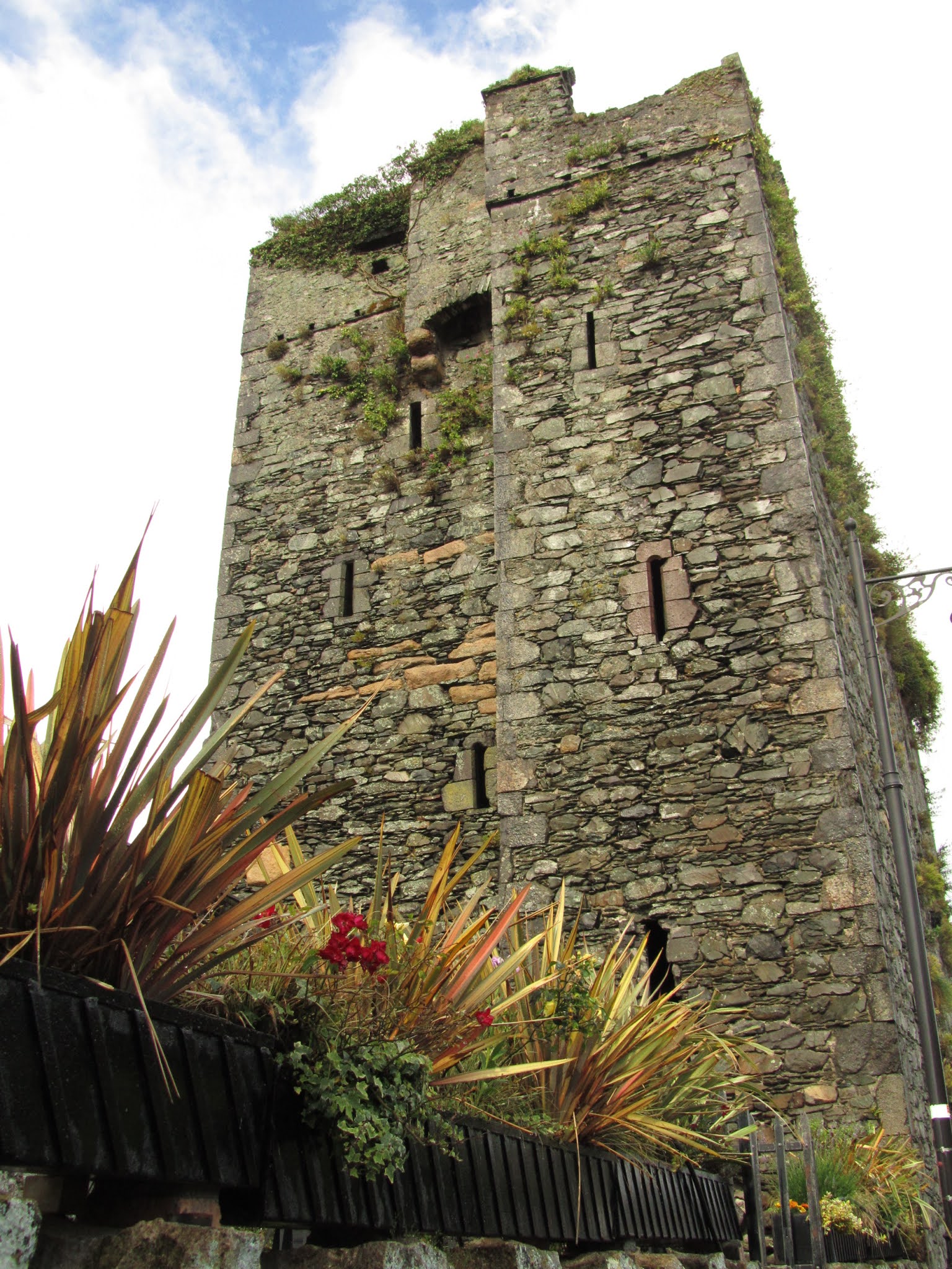 Irish Heraldry: Where in the County (11) Castles