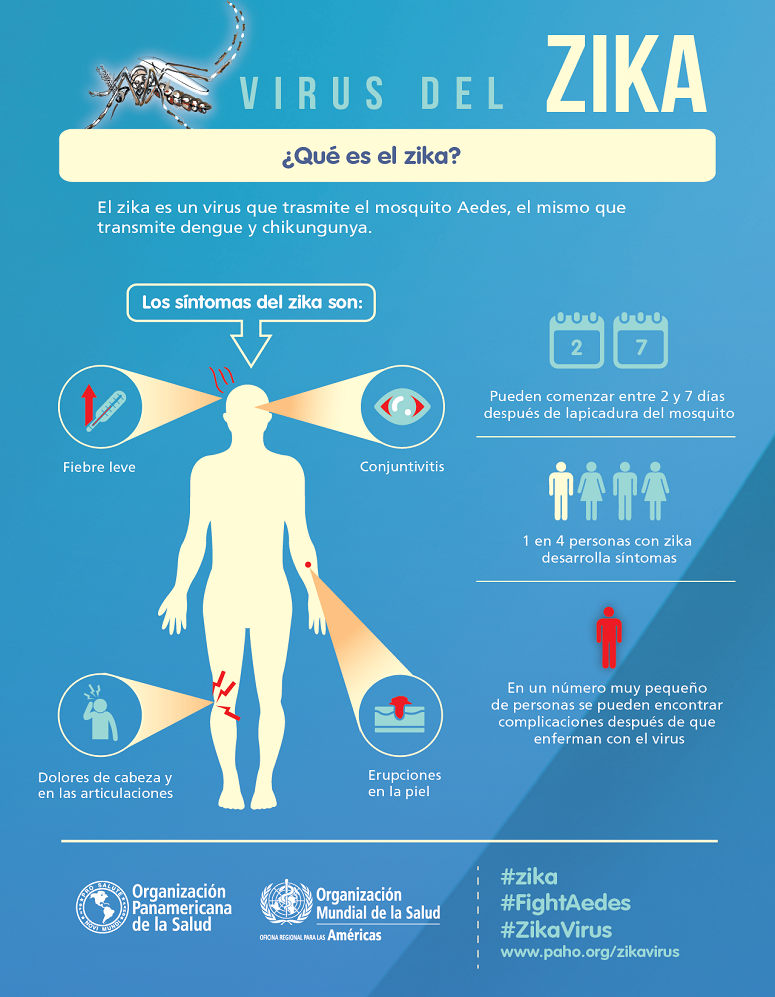 Virus Zika: Información, síntomas, precauciones para mujeres ...