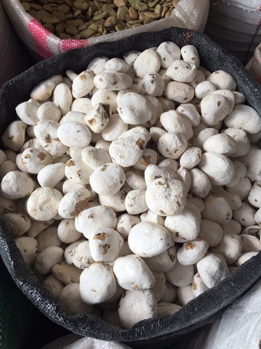 Chuño, el secreto milenario de los Andes - Foros Perú