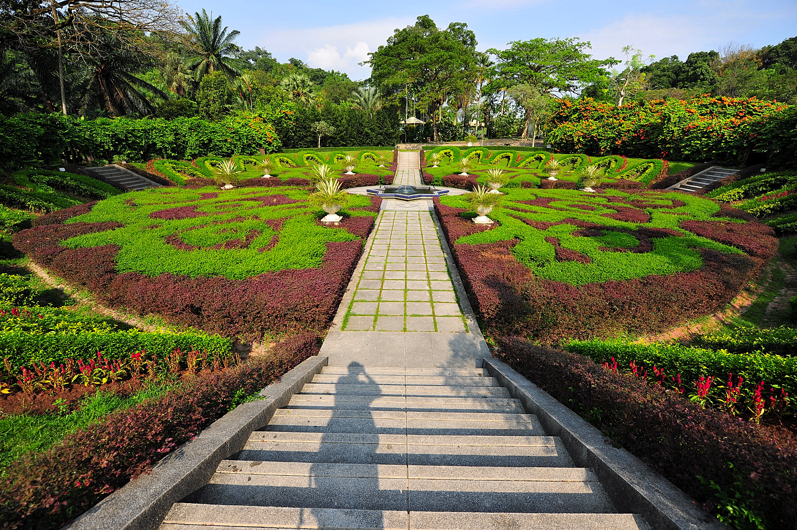 The Life Journey in Photography: Cycad Island and Sunken Garden @ Perdana Botanical Garden ...