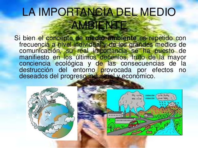 El medio Ambiente : Cual es la importancia del medio ambiente