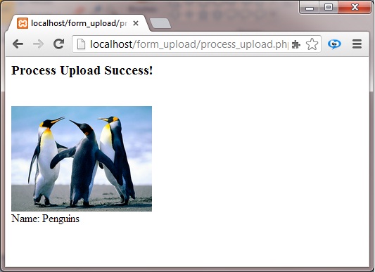 The World of PHP : Form Upload Image