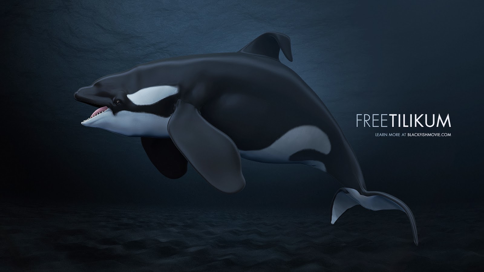 American Studies: Free Tilly