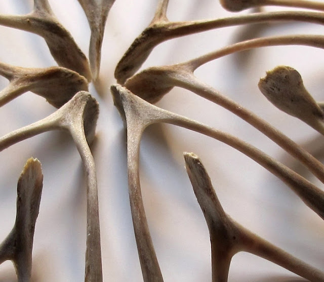 If It's Hip It's Here | The latest in global design and creativity