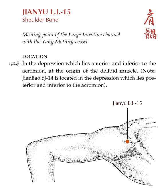 Acupuncture Masters: Acupuncture Points Database - Large Intestine channel