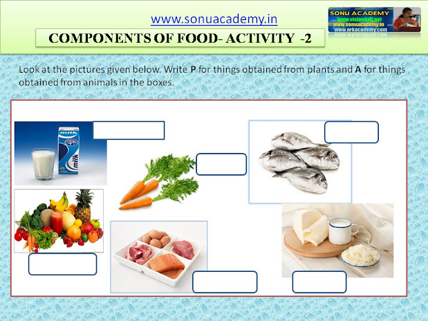 SONU ACADEMY: COMPONENTS OF FOOD - ACTIVITIES- CHAPTER-2 CLASS VI