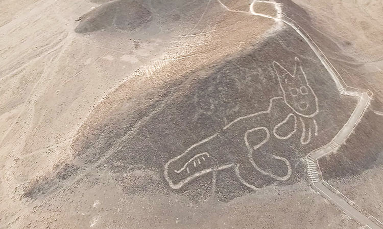 Peruvian archeologists uncovered giant cat carved into Nazca Lines ...