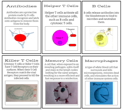 Biology by the Math Mom: Immune System Trading Cards and Storyboarding ...
