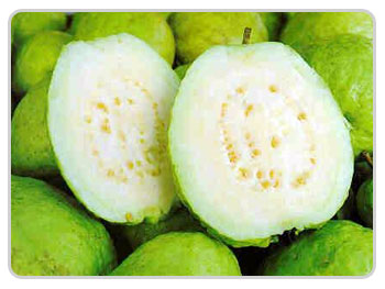 JaMbU BaTu