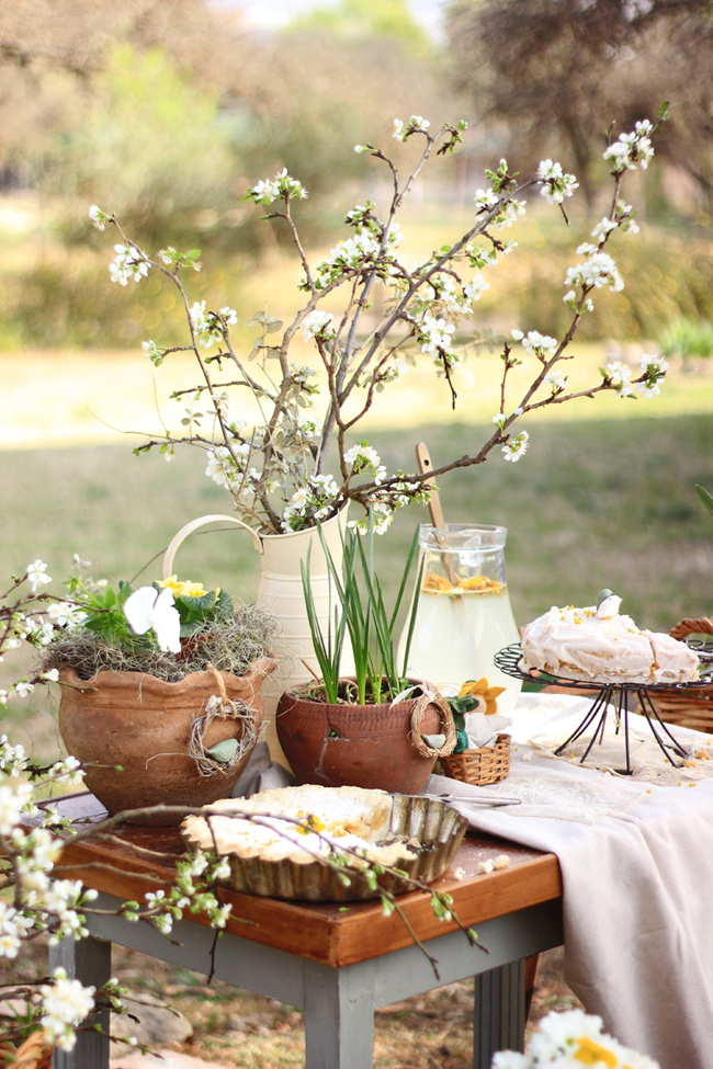 Las primeras flores de la primavera