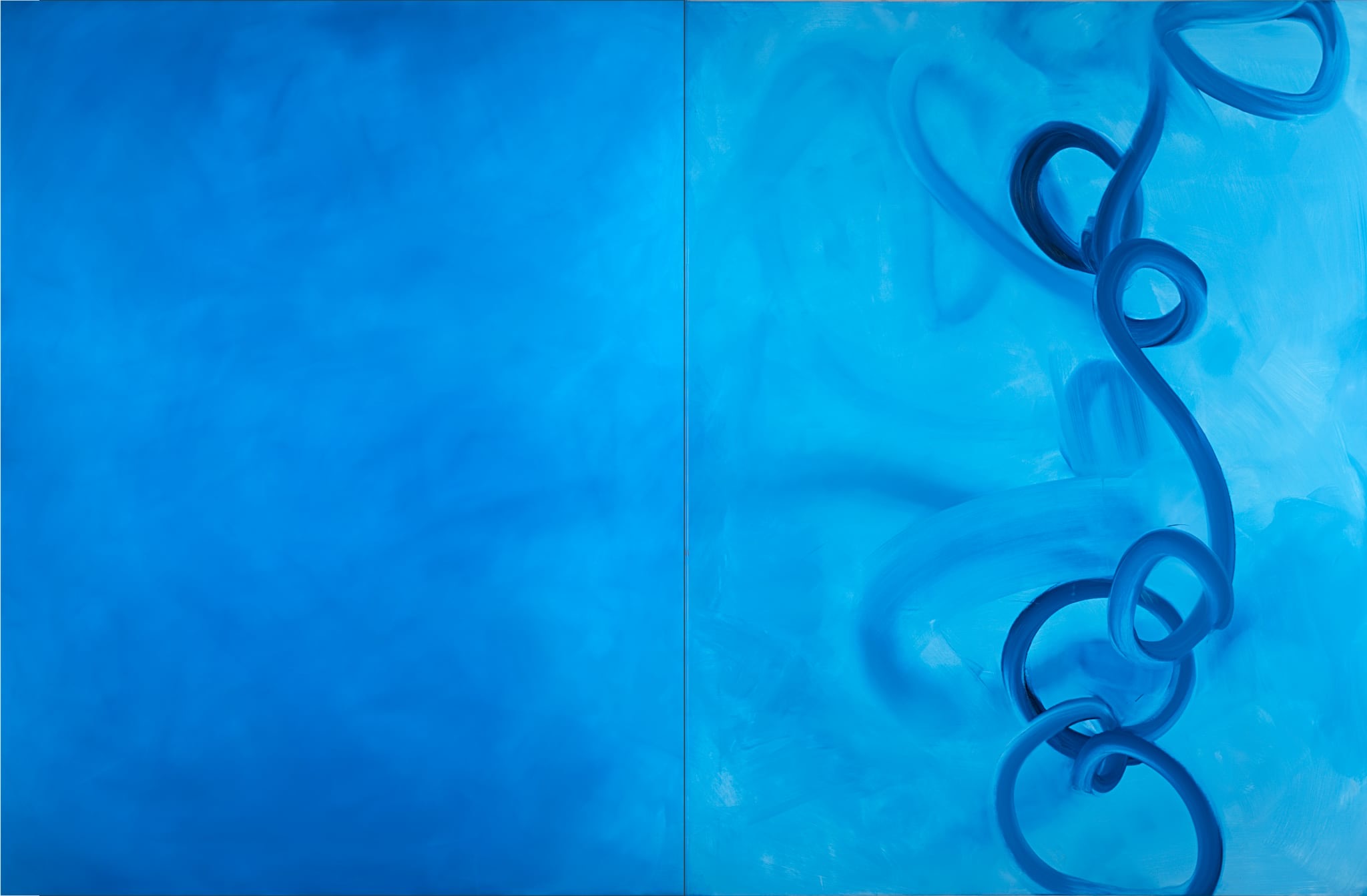 Mark Sheinkman Exhibitions