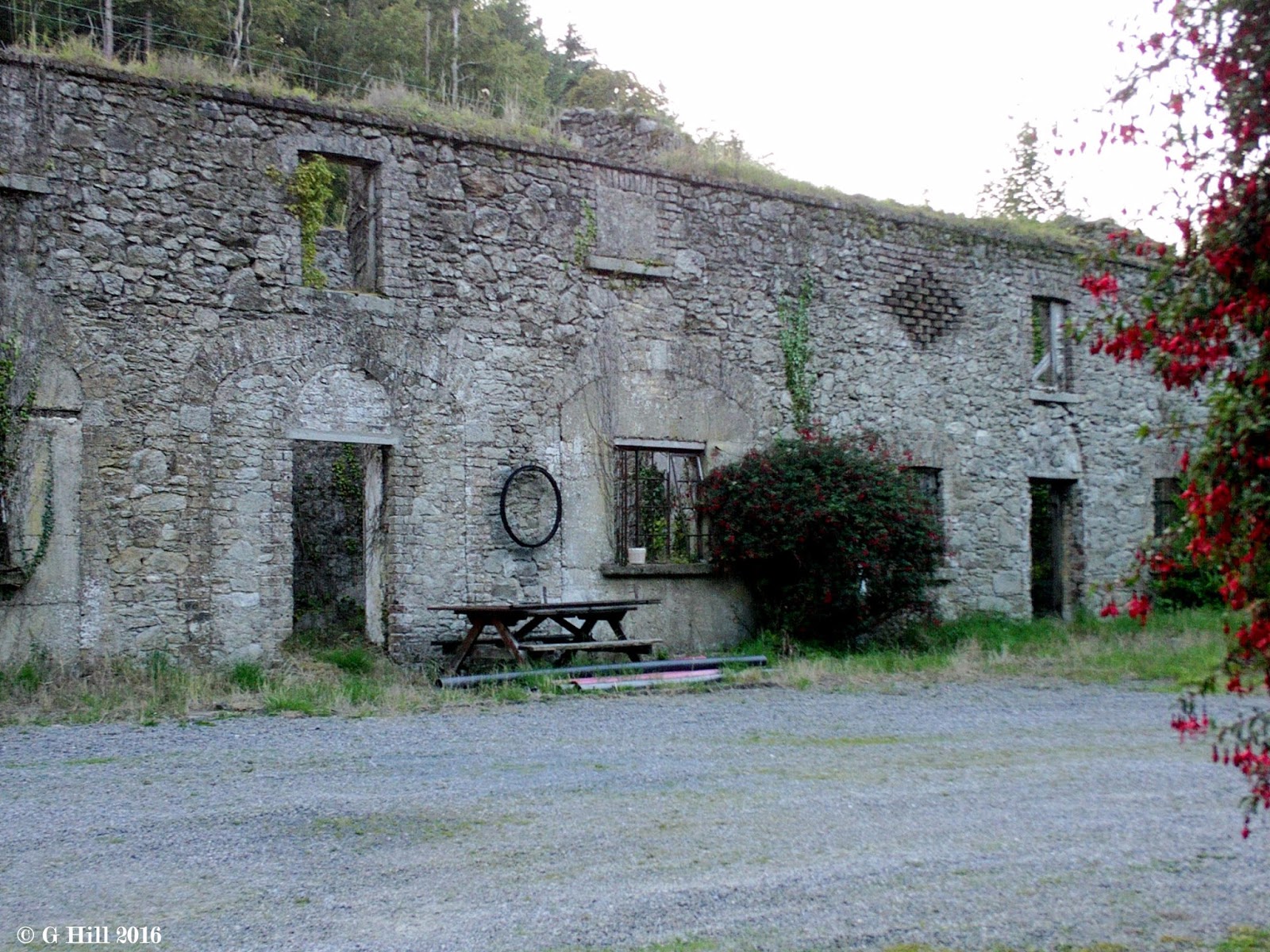 Ireland In Ruins: Massy's Wood Estate Co Dublin