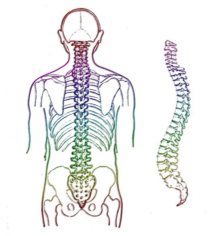 Câncer na coluna: causas, sintomas e tratamento