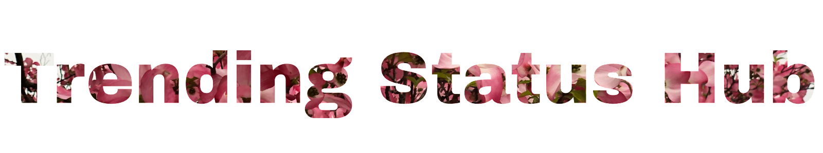 Trending Status Hub