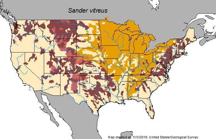 Virginia Tech Ichthyology Class : May 2019