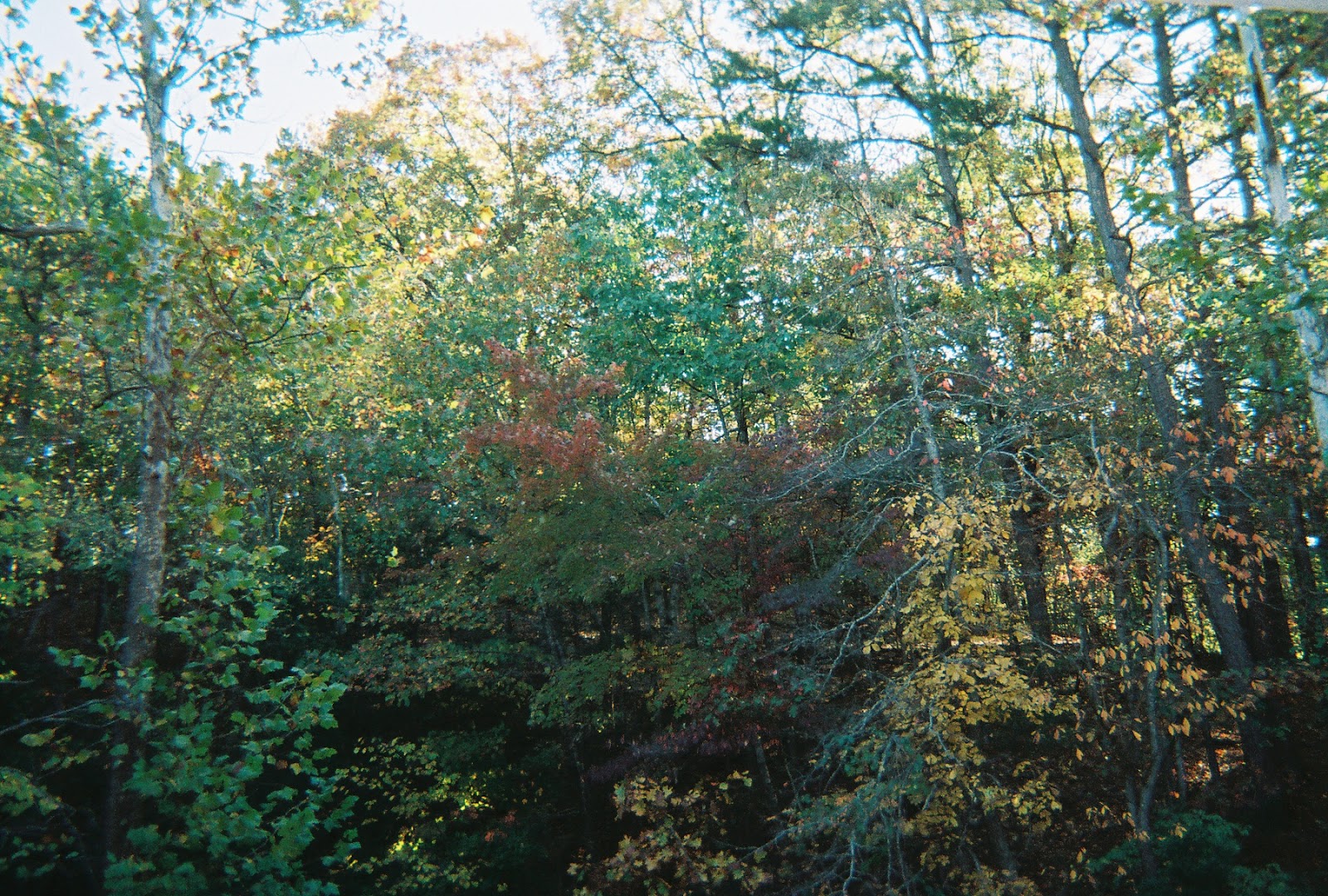 pittypatter: Three Etheree poems