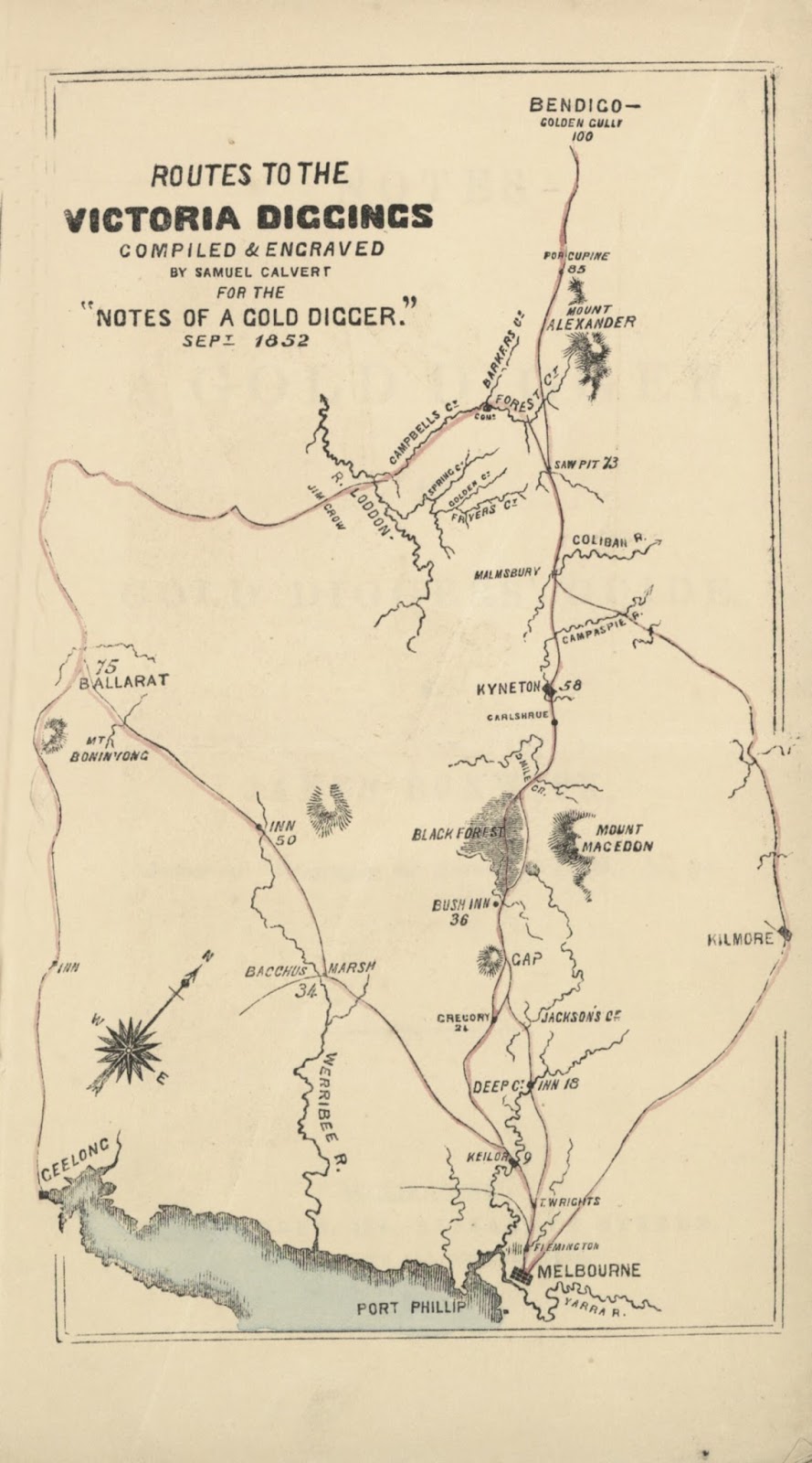 Barwon Blog: Making tracks: lies and deception