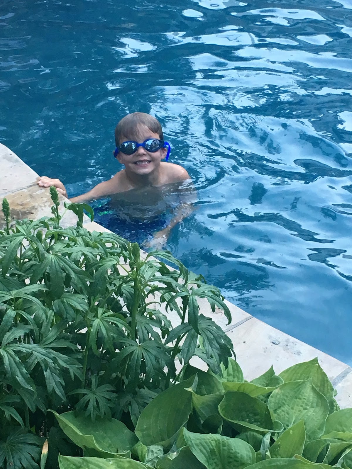 Charles' Brain Blog: Kindergarten and Swim Team/Summer 2016