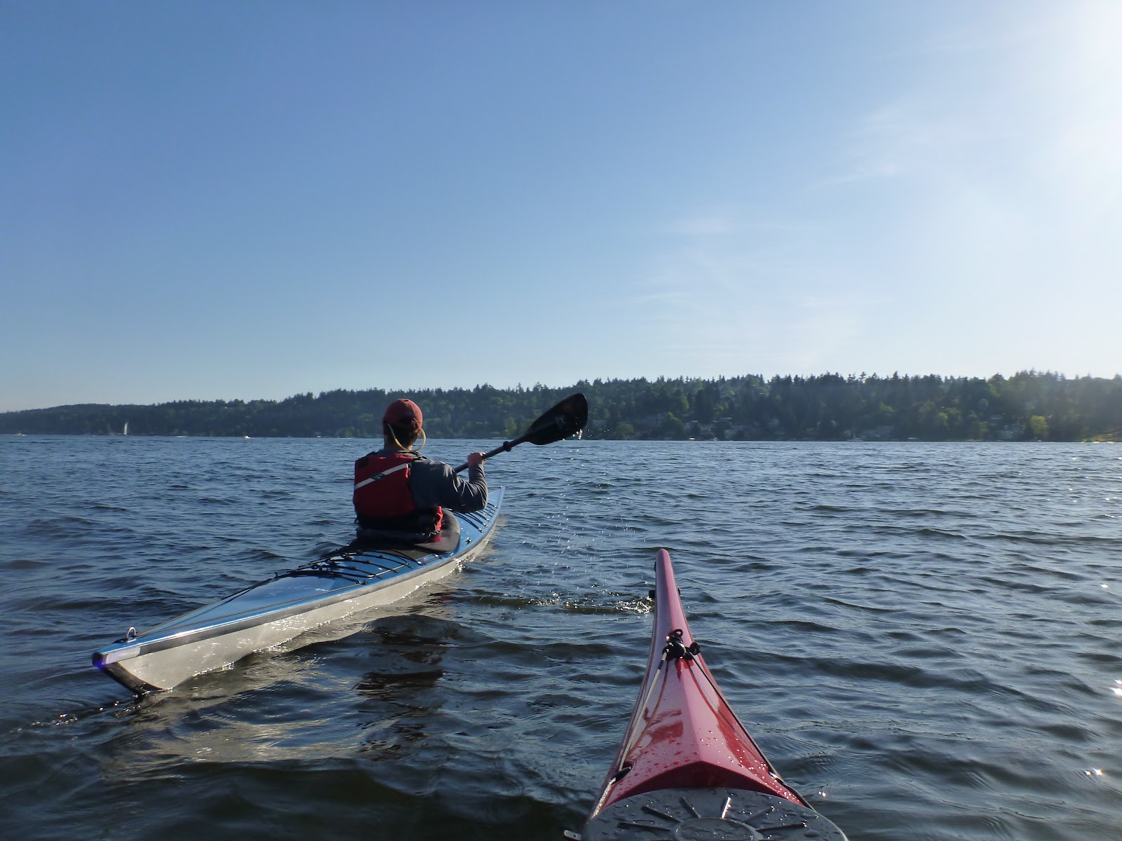 Kayakventures: Misadventures in sea kayaking: Mercer Slough