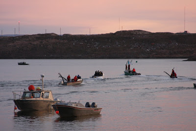 An English Girl in The Cariboo: of Bowhead, Baleen and Blubber