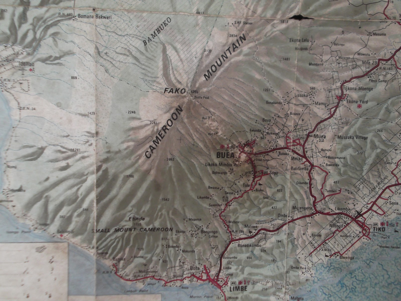 Les abricotiers: Mont Cameroun, Mont Fako (4095m).