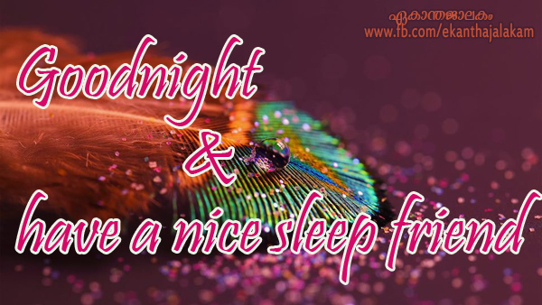 Lovely Quotes For You: Good Night and Have a Nice Sleep Friend