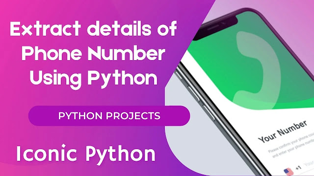 Extract Phone Number Details using Python