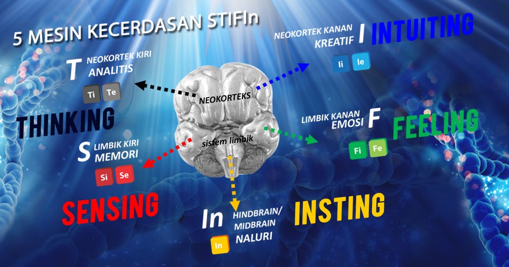 STIFIn Itu Apa? | STIFIn Tes Bakat dan Minat