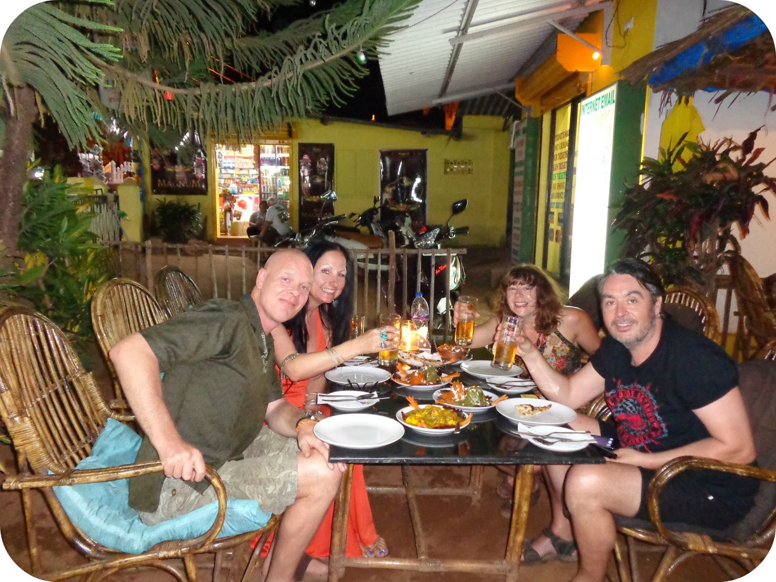 Vintage Vixen: Travels in India, 2016 - Goa's Deep South