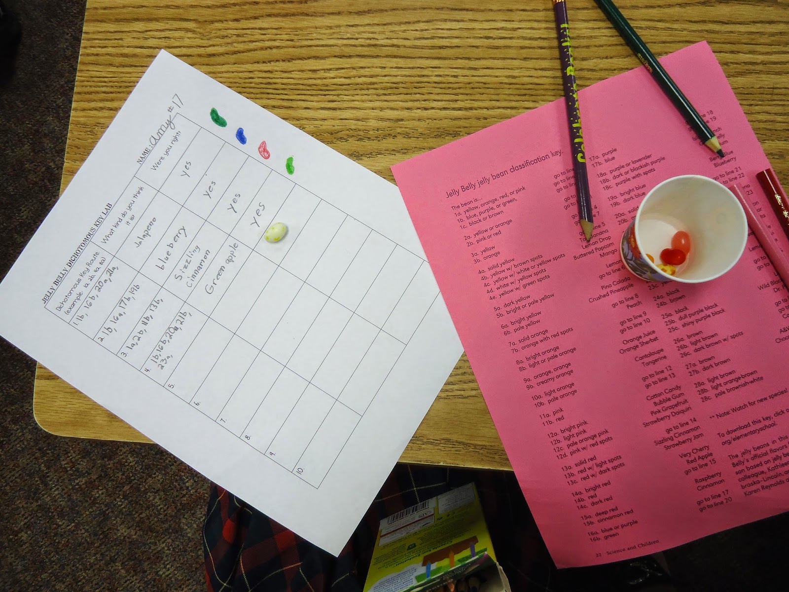 Real Teachers Learn: Dichotomous Keys {Featured on The Science Penguin}