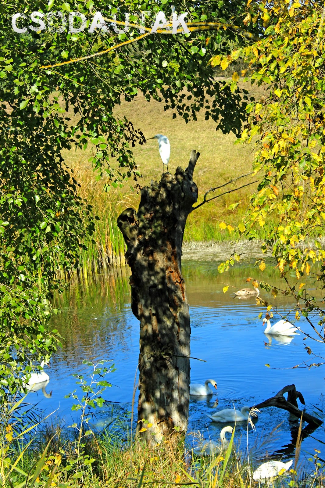 CSODAUTAK: Túra: Hét Halom (2016)